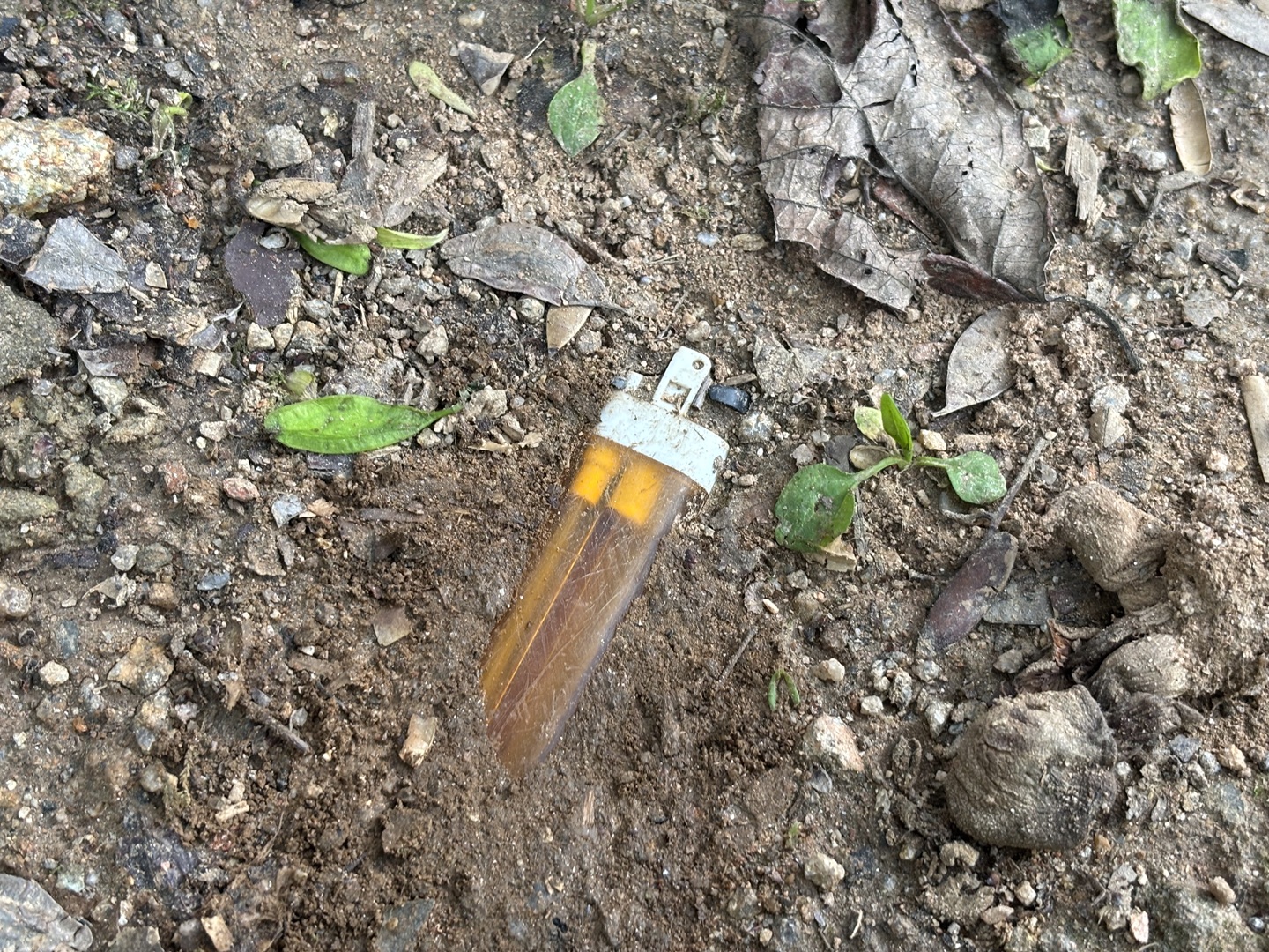 [INTERACTIVE]관악산에 산불이 난다면?