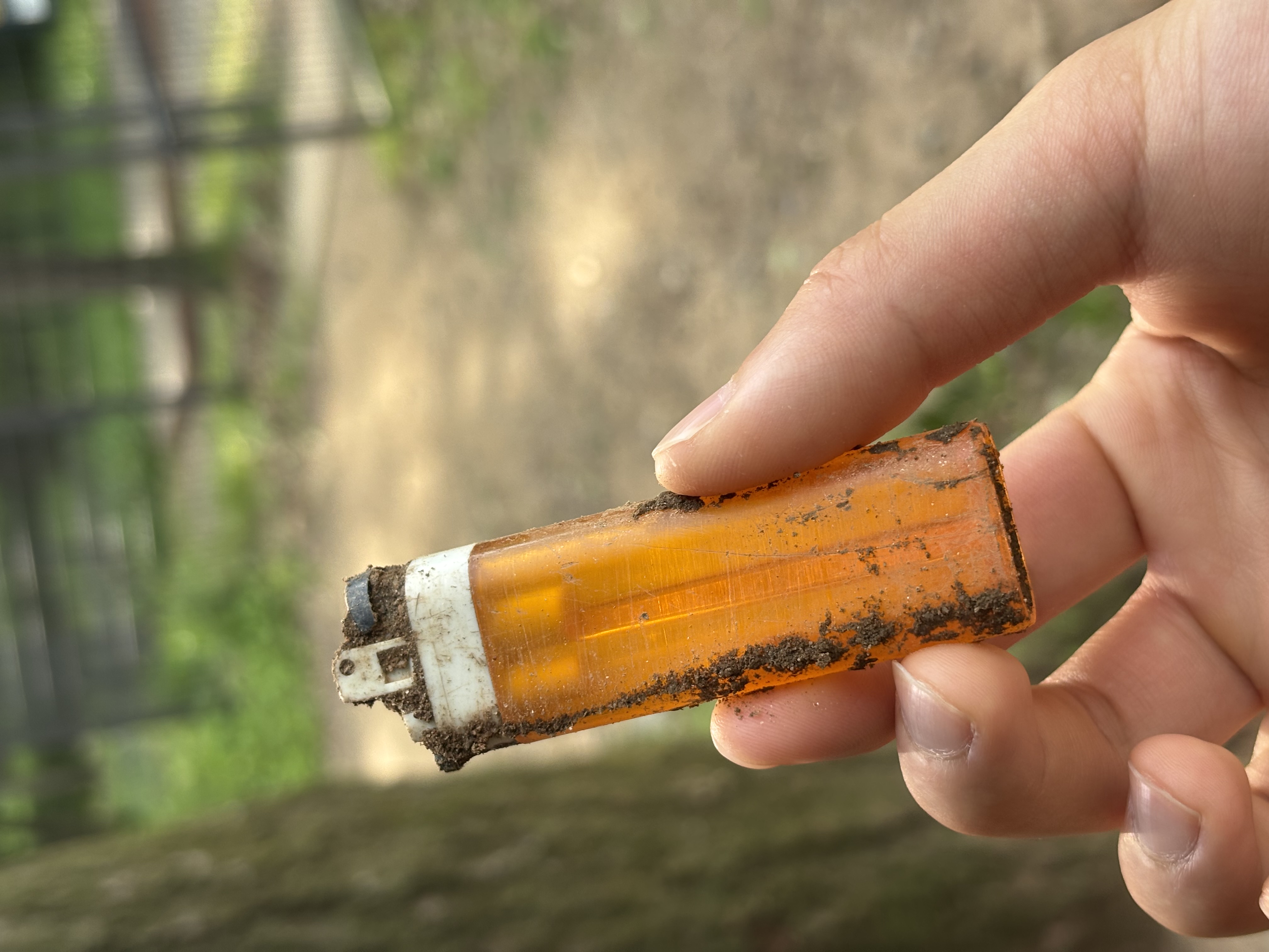 [INTERACTIVE]관악산에 산불이 난다면?