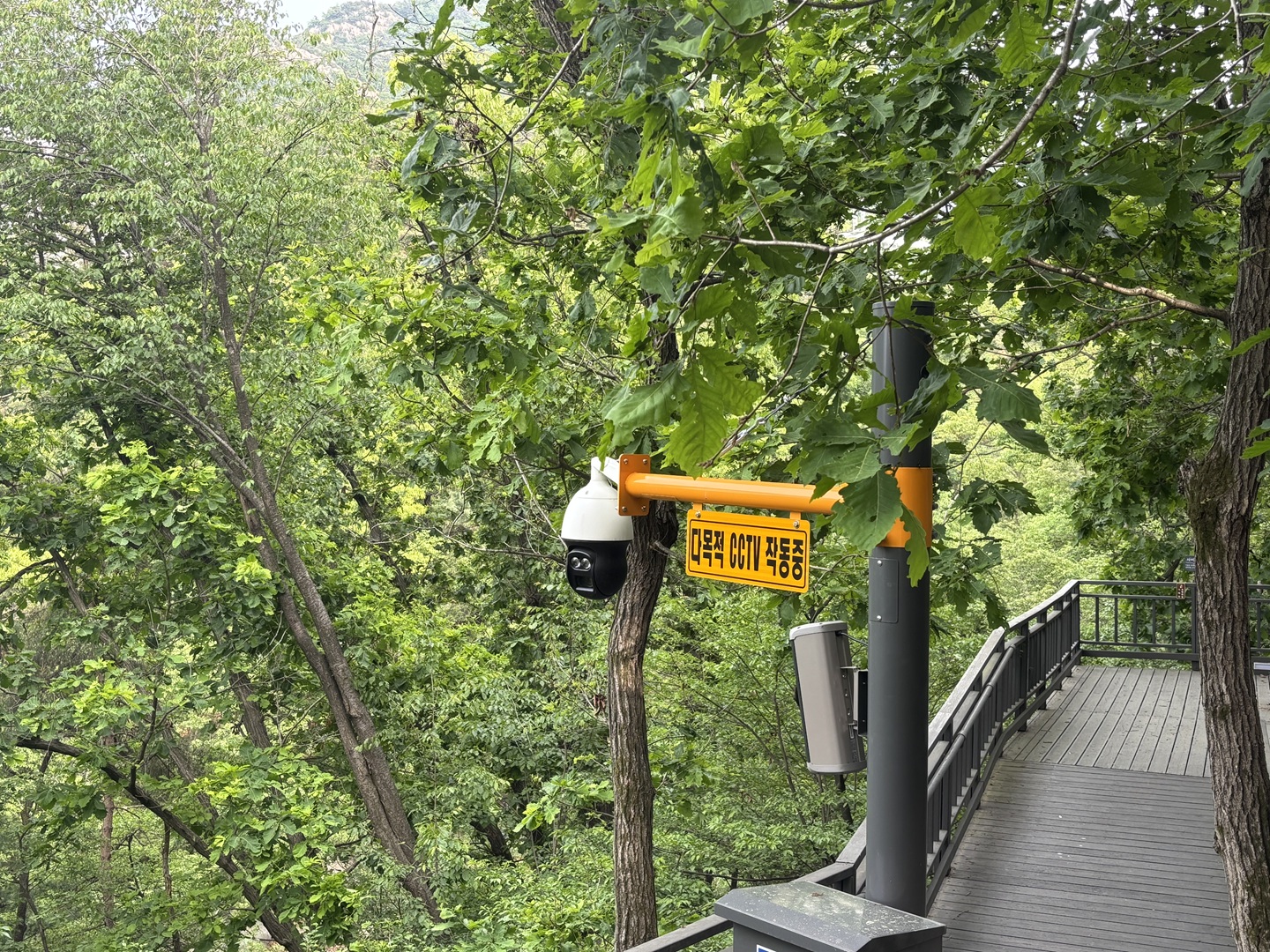 [INTERACTIVE]관악산에 산불이 난다면?