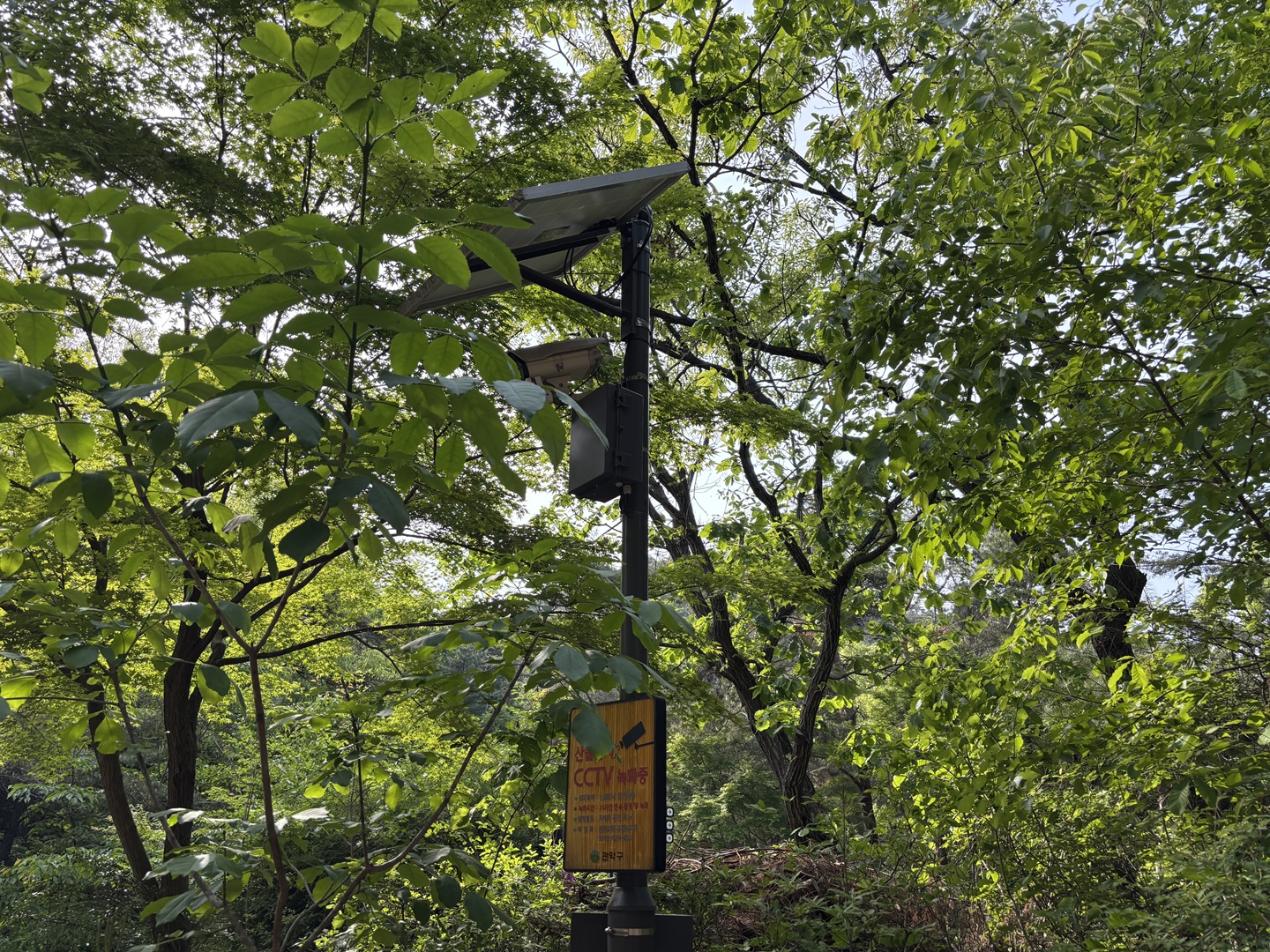 [INTERACTIVE]관악산에 산불이 난다면?