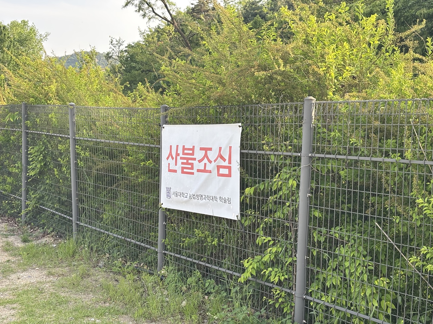 [INTERACTIVE]관악산에 산불이 난다면?